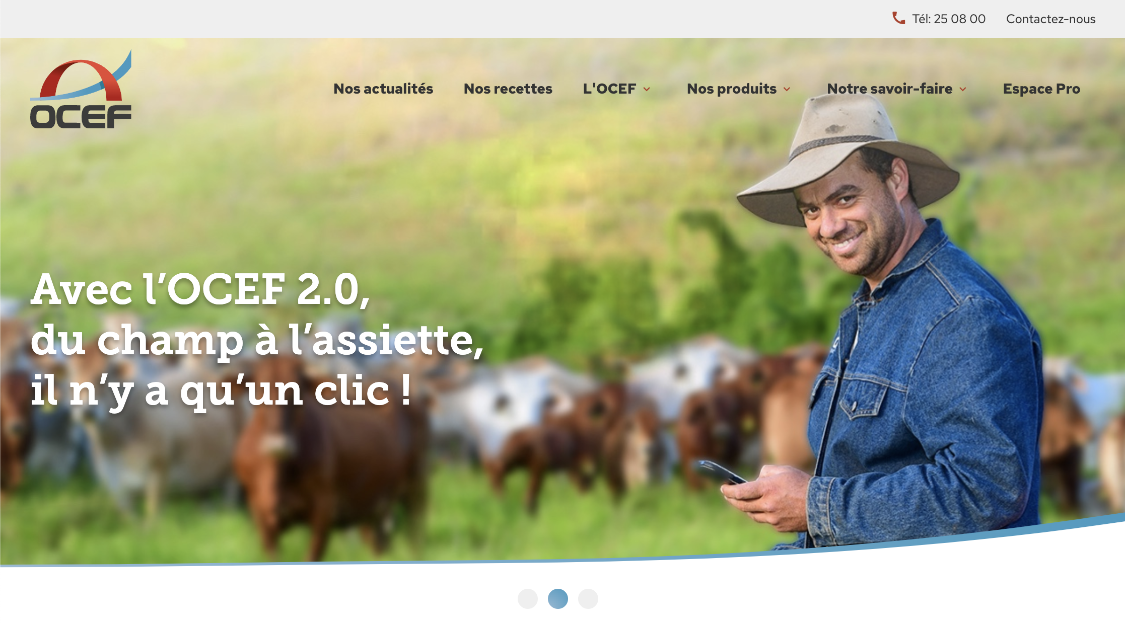 Bienvenue sur le nouveau site de l'OCEF